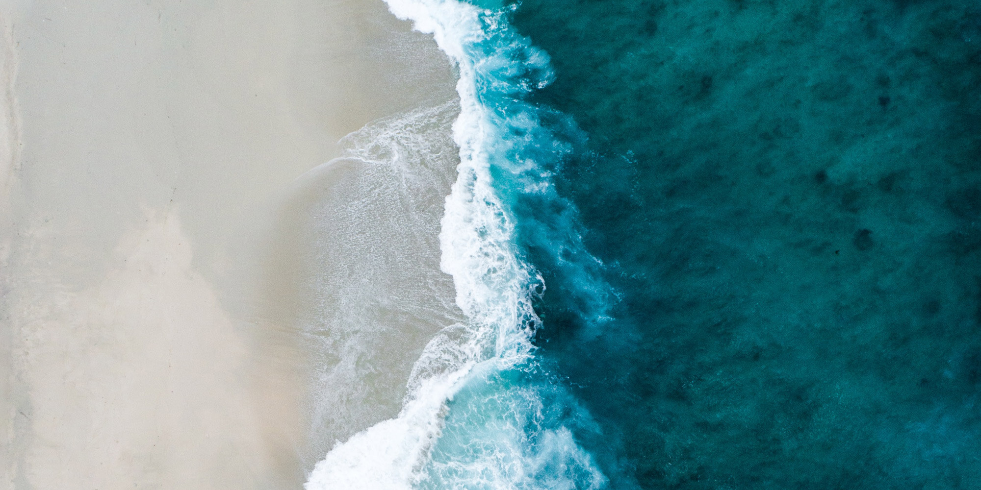 Psychedelic Preparation & Integration: The ACE Model with Dr. Rosalind ...